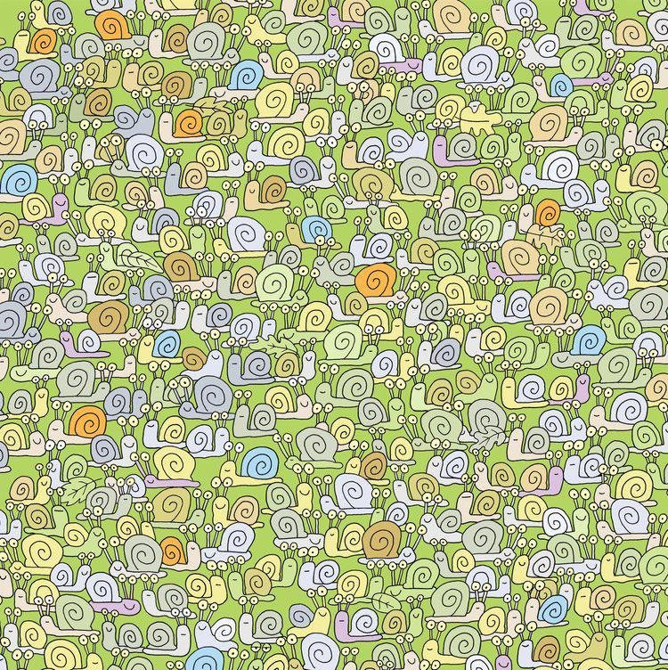 Can you find the slug? - Word & Picture Games - Everybump Parenting ...